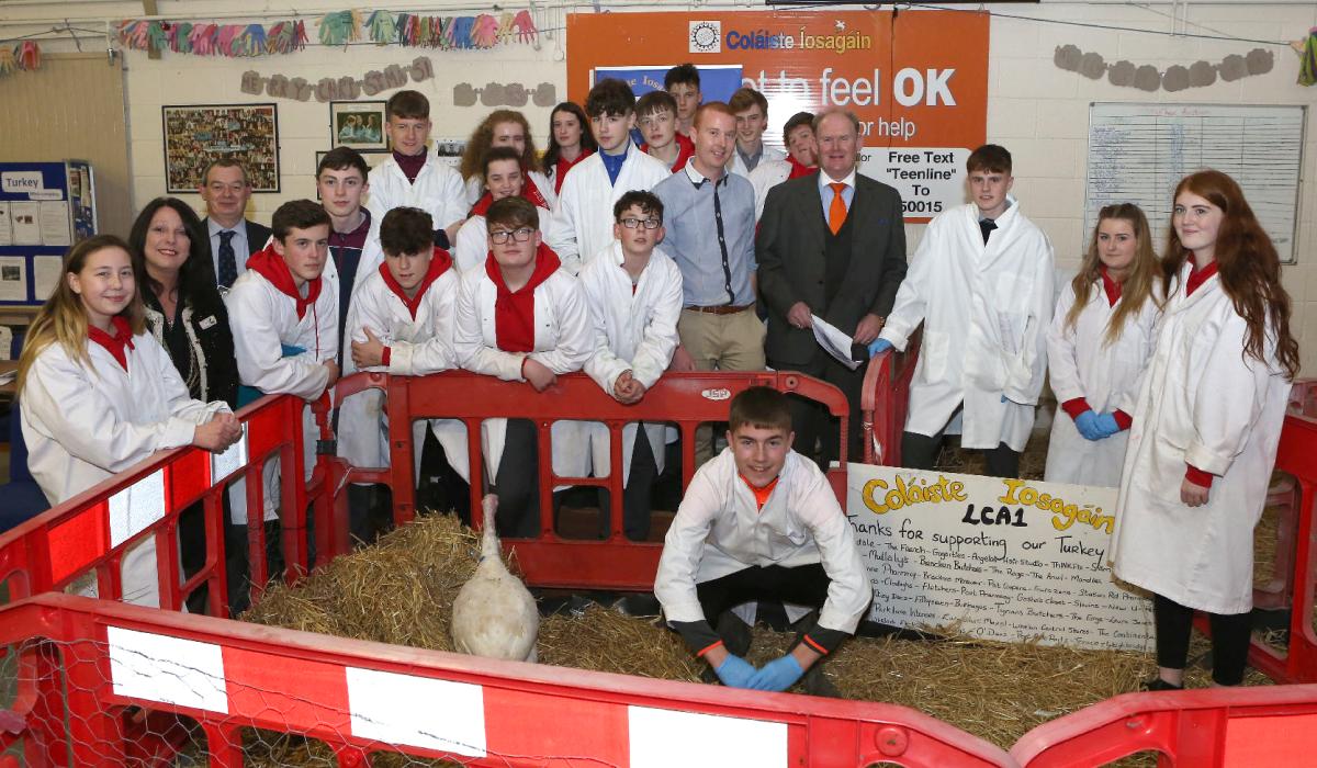 Coláiste Íosagáin Portarlington pupils are no turkeys as charity ...