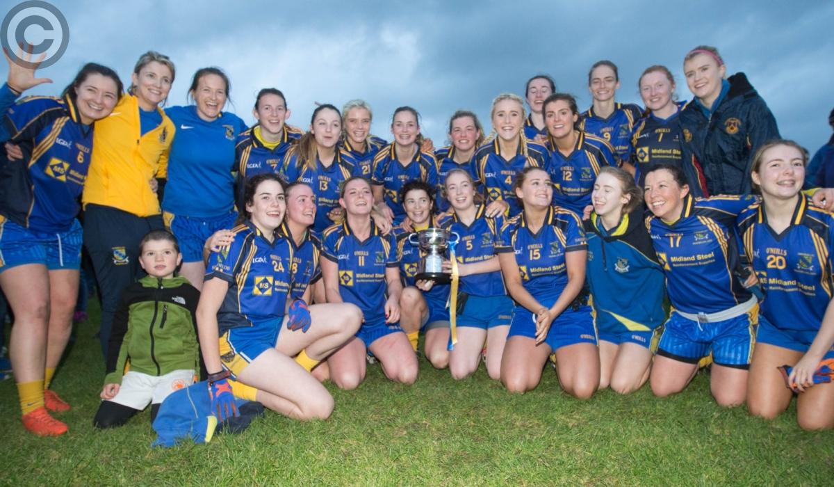 GAA - Sarsfields dominance continues as they see off Portlaoise for ...