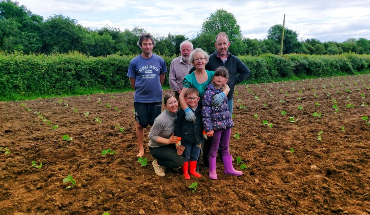 Pick and carve your own pumpkin for Halloween on this charming Laois ...