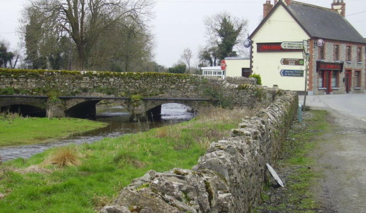 Eye of bridge almost 'closed up entirely' with silt in Laois village ...