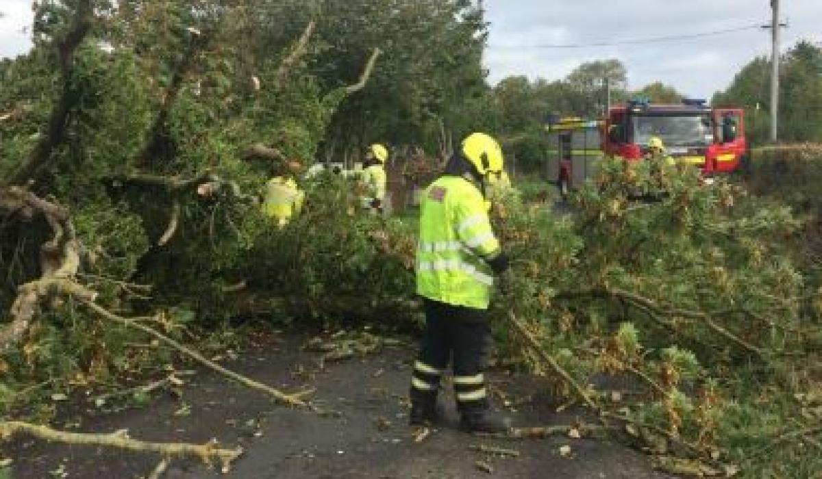 Laois fire service clearing fallen trees as Storm Ali hits - Laois Live