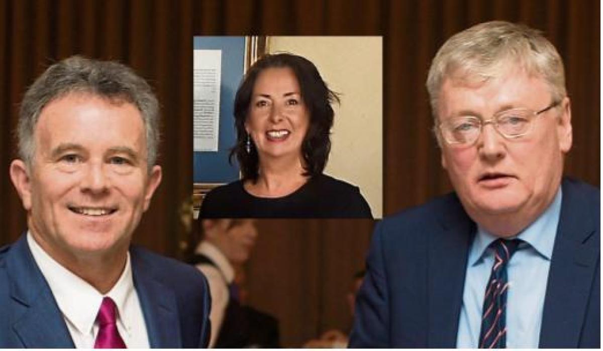 Fianna Fáil places tight restrictions on Laois General Election candidate choice - Laois Live