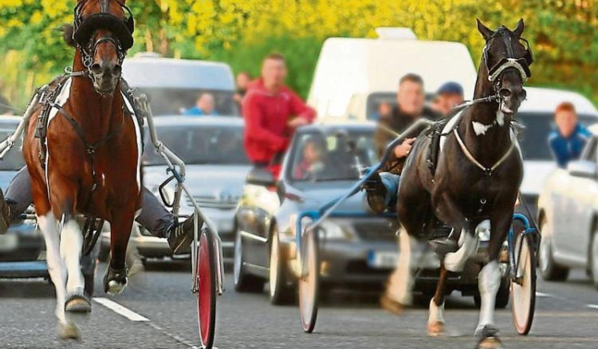 Action urged to end Laois sulky racing over animal welfare concerns ...