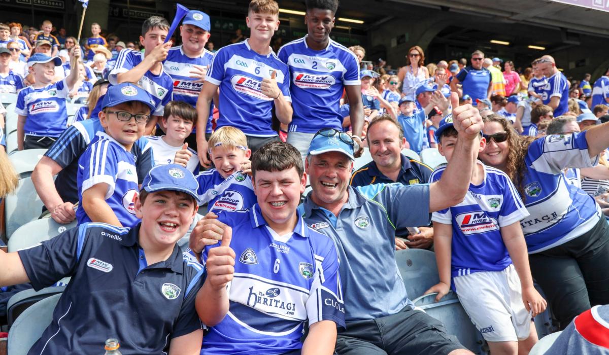 Setanta hurling programme relaunched in Laois to nurture the game and ...