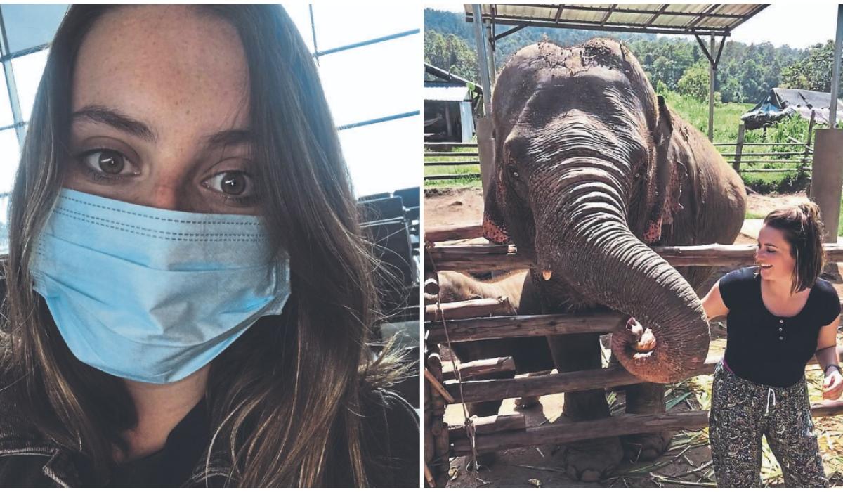 Returning home in the midst of a pandemic: Former Leinster Express ...