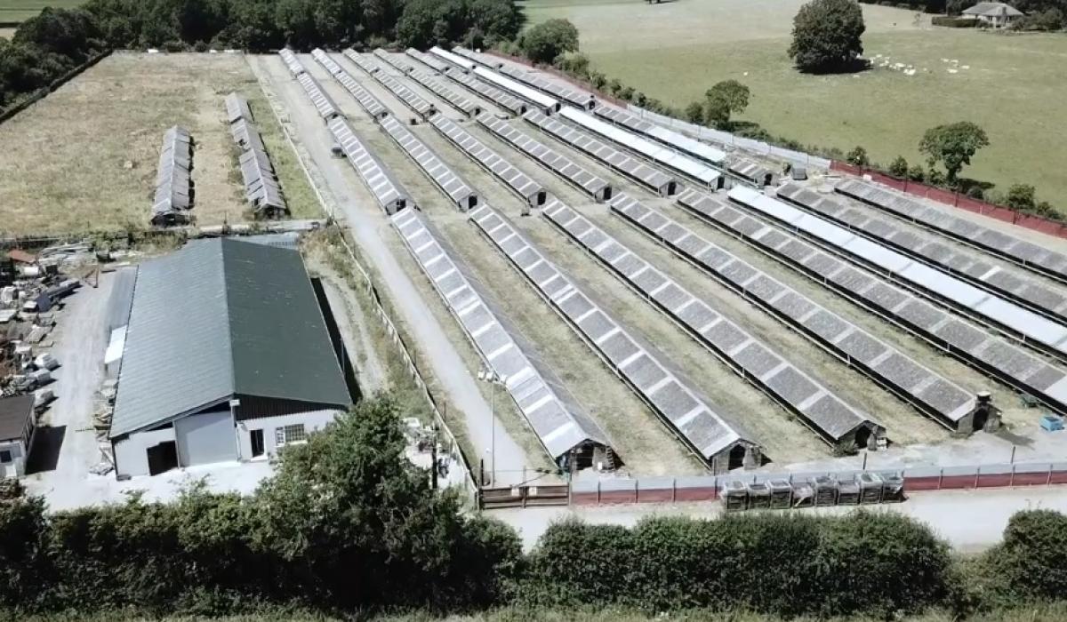 Plans to demolish massive former Laois Mink Farm - Laois Live