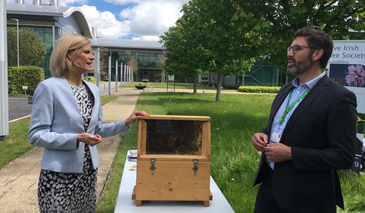 World Bee Day marked by Laois Offaly Senator and Laois Offaly Wildlife ...