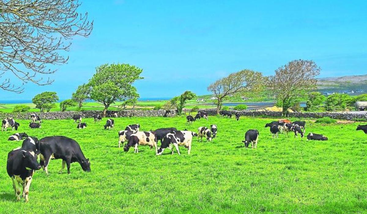 Laois farmers to hold rally on Friday morning in IFA campaign on the ...