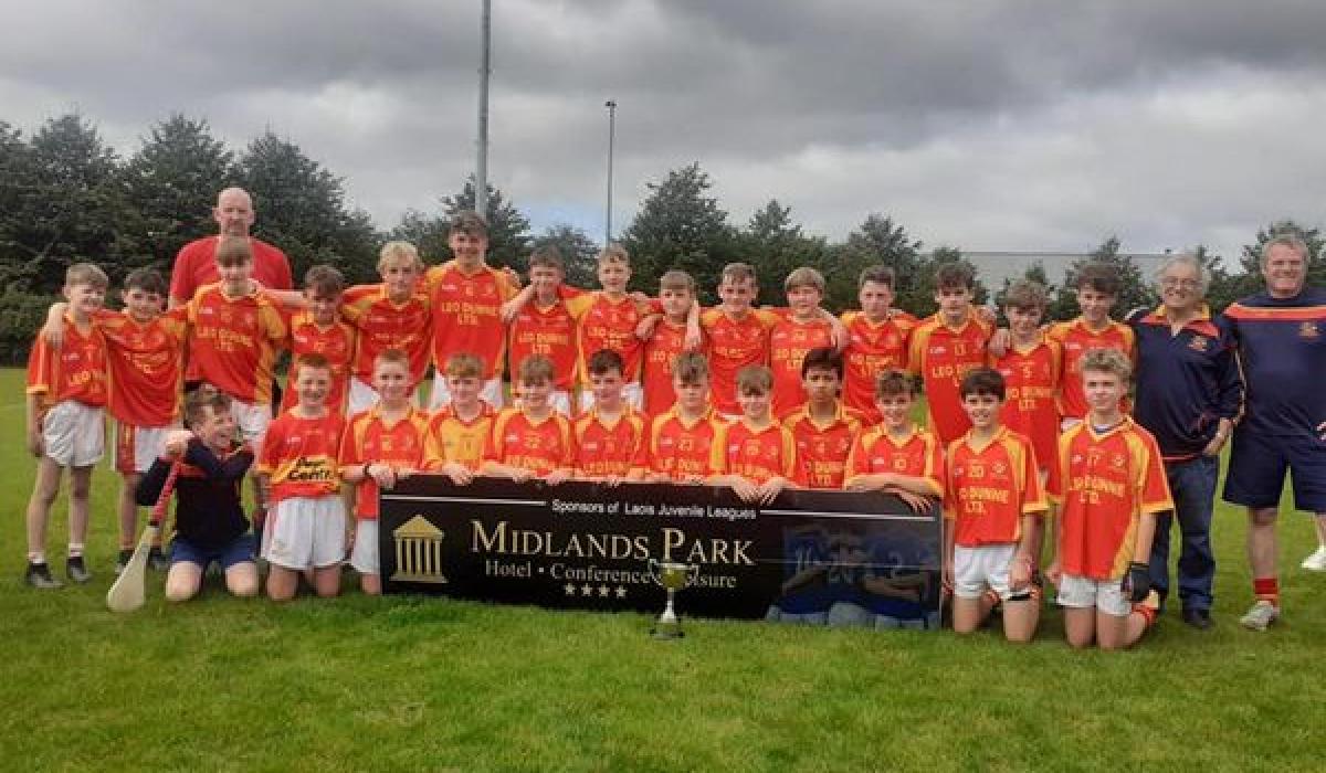 Brophy goal decisive as The Harps edge hard fought final to add to ...