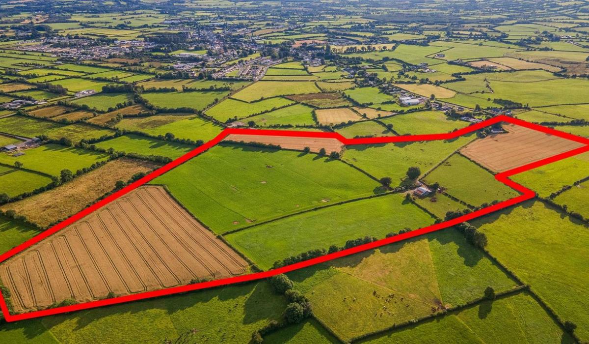 PROPERTY WATCH: Laois farm could sell for €1 million at auction - Laois ...