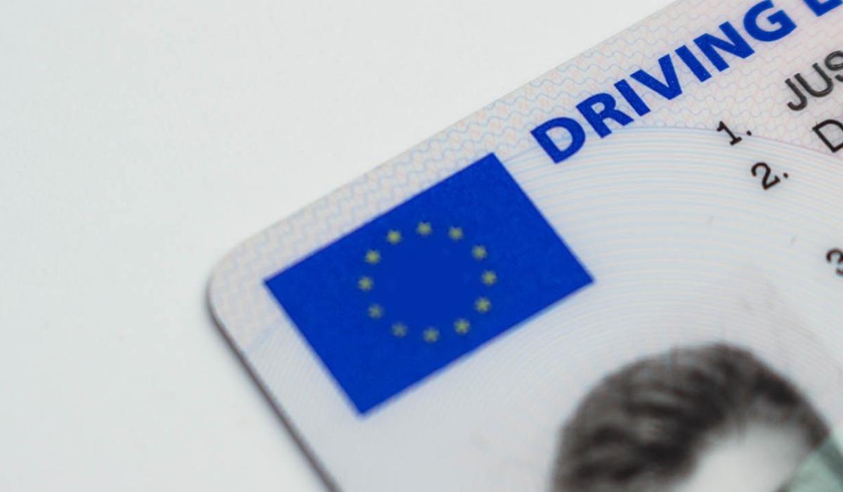 Woman 'foolishly' procured false driving licence - Laois Live