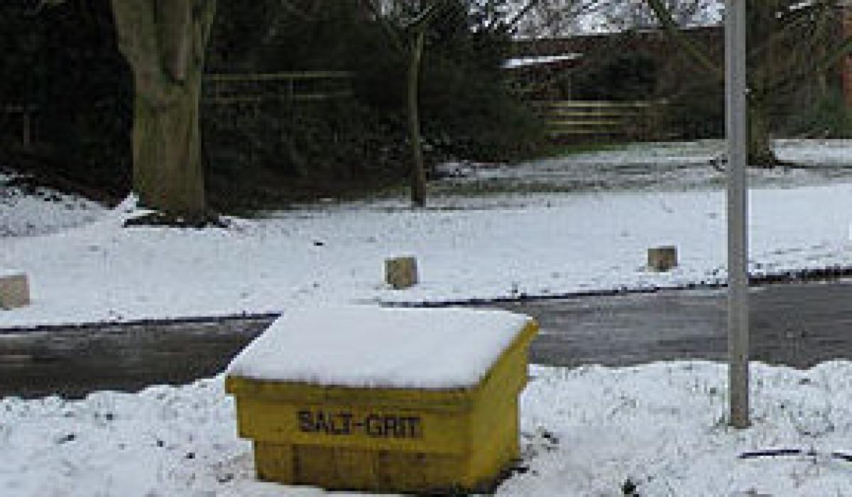 Council agrees to put de-icing salt bins outside Laois primary school ...