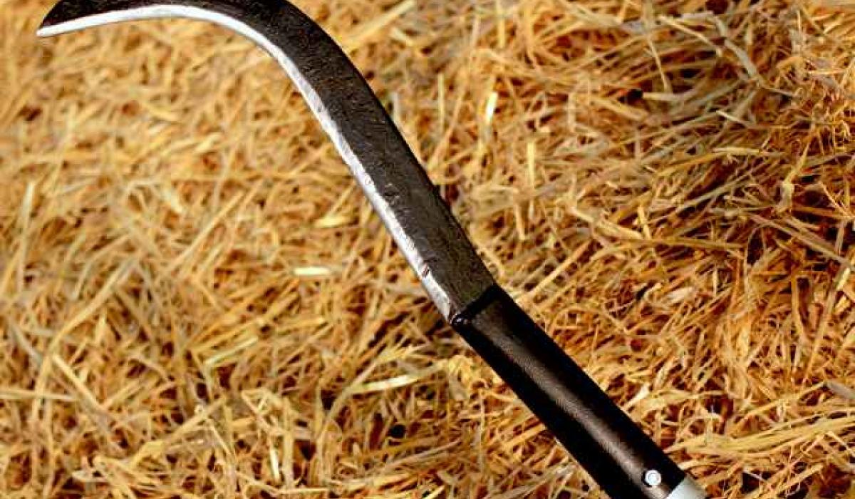 Elderly man allegedly swung slash hook at gardaí in Laois - Laois Live