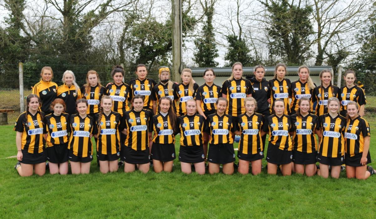Heartbreak in Leinster again for Camross camogie as Barrow Rangers ...