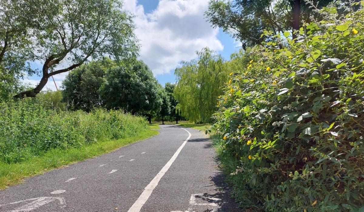 Slow progress to make Portlaoise truly cycle friendly - Laois Live