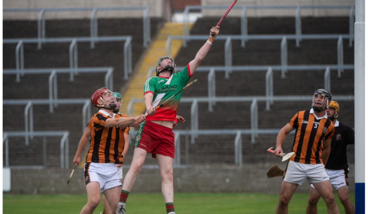 In Pictures: Some great photos from the Laois GAA hurling championship ...