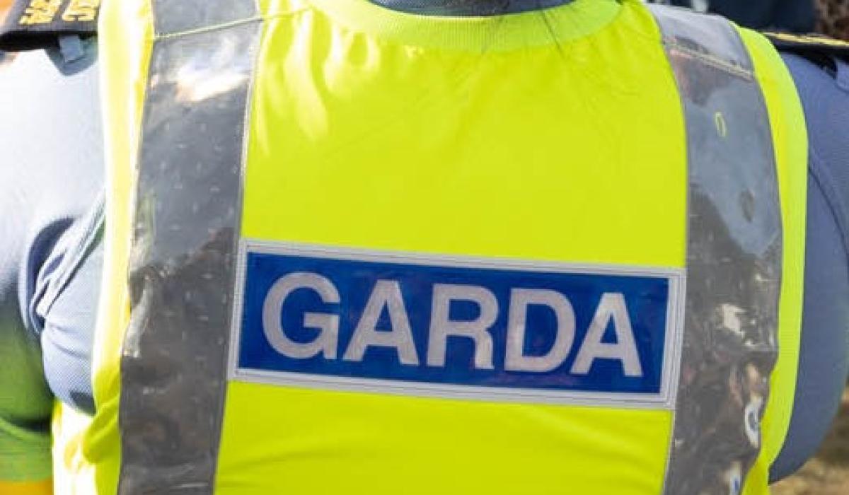 Laois gardai make arrest after attempted robbery from delivery man ...