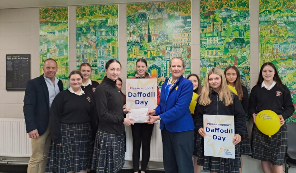 Generous Daffodil Day donors thanked by Portlaoise committee - Laois Live