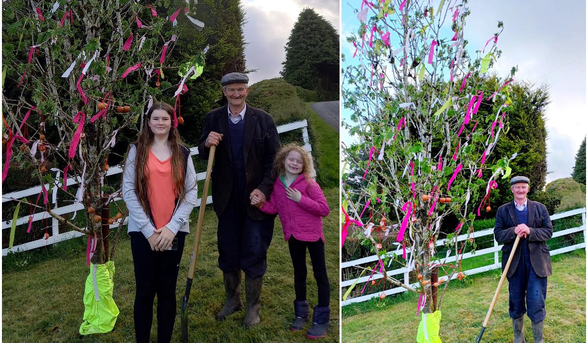 May Bush tradition continues in Laois - Laois Live