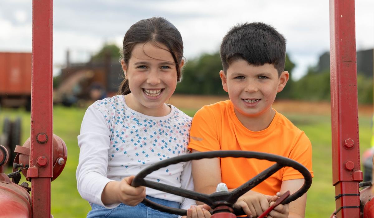 IN PICTURES: Raheen Vintage Show hits the spot in Laois - Page 1 of 12 ...