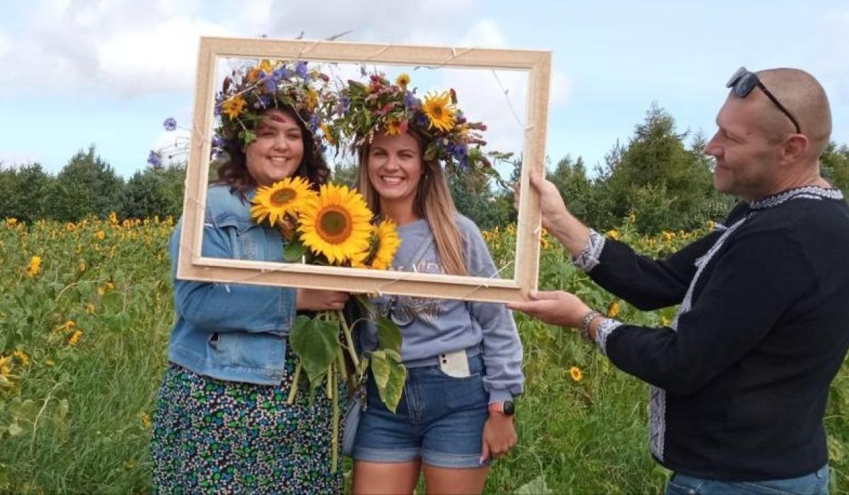 Pick your own sunflowers in Laois for Autism and Alzheimers charities ...