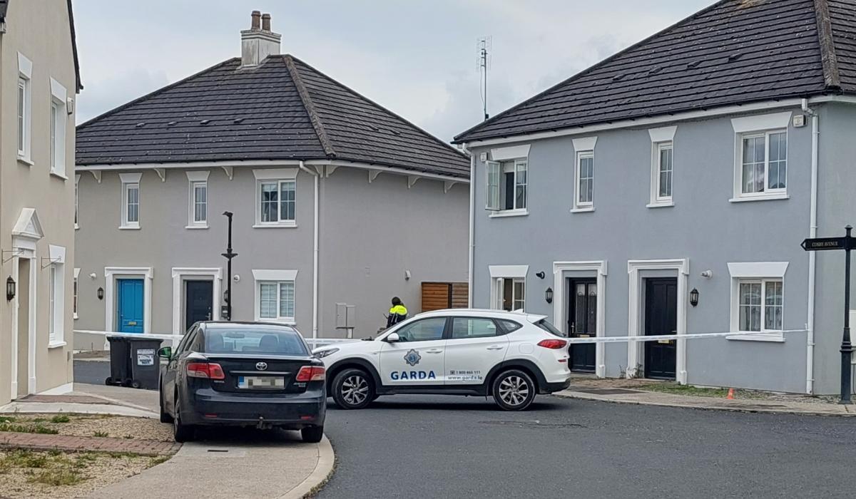 Breaking: Tragedy as young girl dies following Laois collision - Laois Live