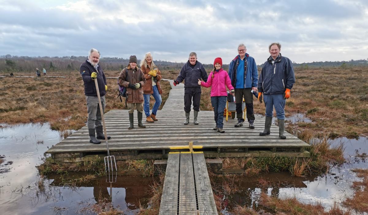Learn about Laois bog project two decades in the making this November ...
