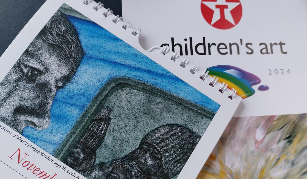 Laois student's stunning art wins spot in Texaco Children's art ...