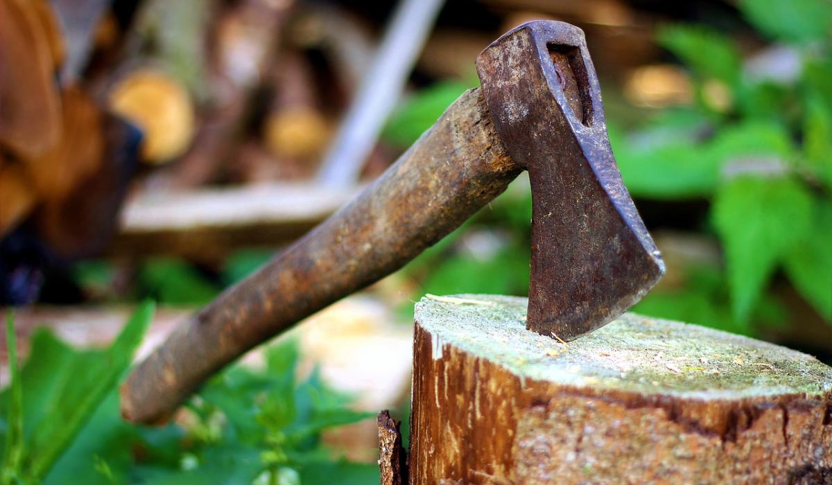Gardaí appeal after hatchet brawl near Athy court - Laois Live