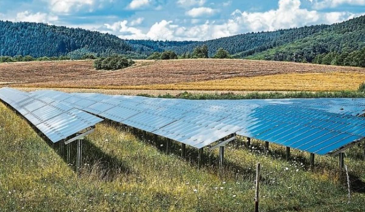 Future Laois solar farm seeks connection to controversial EirGrid ...
