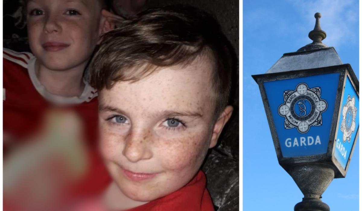 Gardaí and family 'extremely concerned' for welfare of missing children as appeal issued - Laois ...