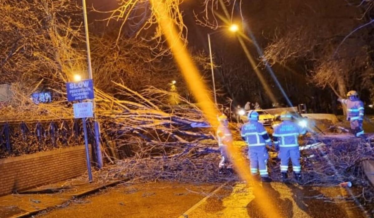 Met Éireann records Storm Isha hurricane-force winds #stormisha - Laois ...