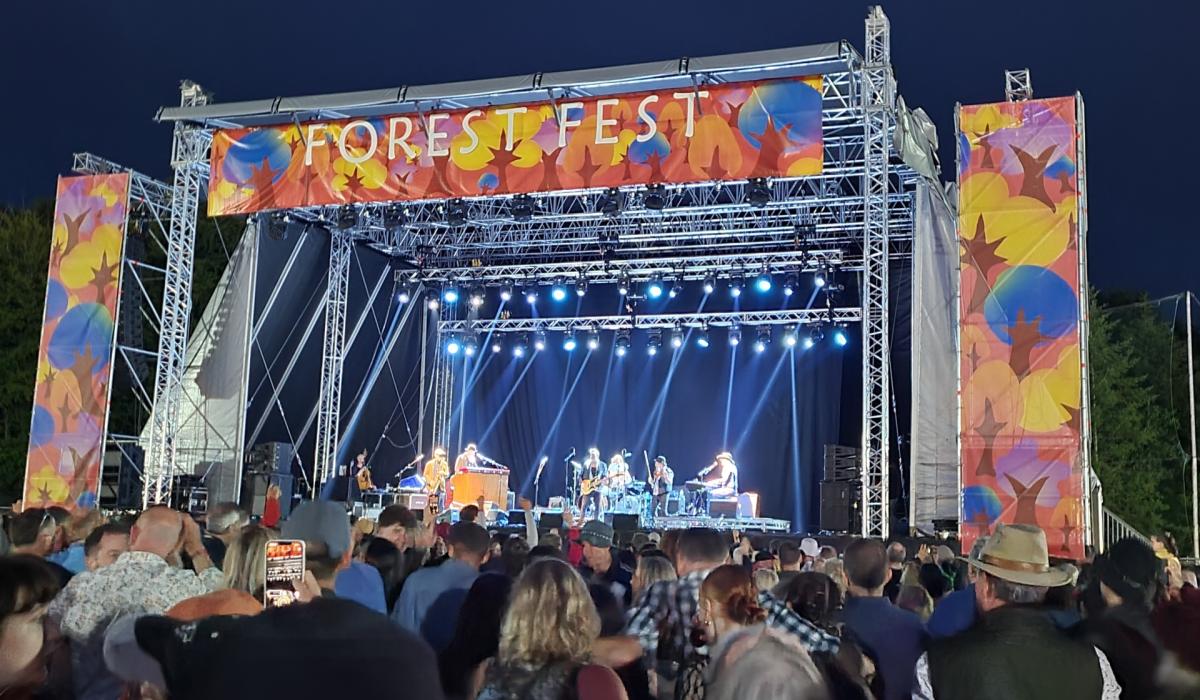 Laois music festival Forest Fest announces Sunday headliners - Laois Live