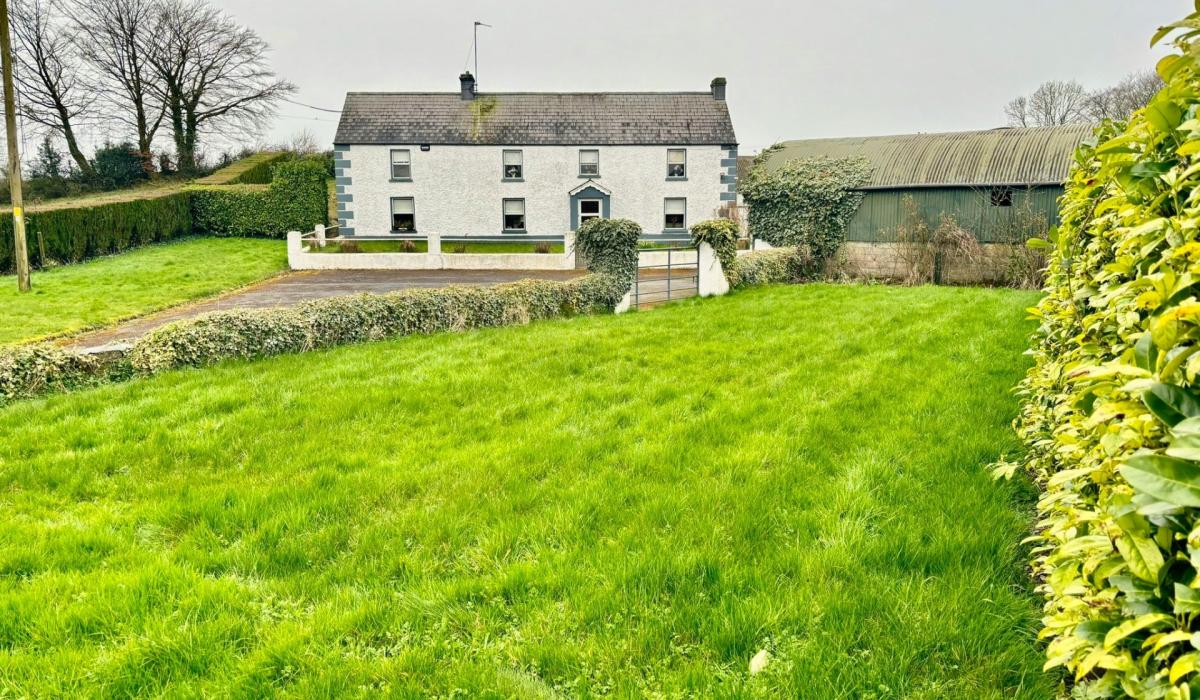 25 acre residential farm in Laois goes on the market - Laois Live