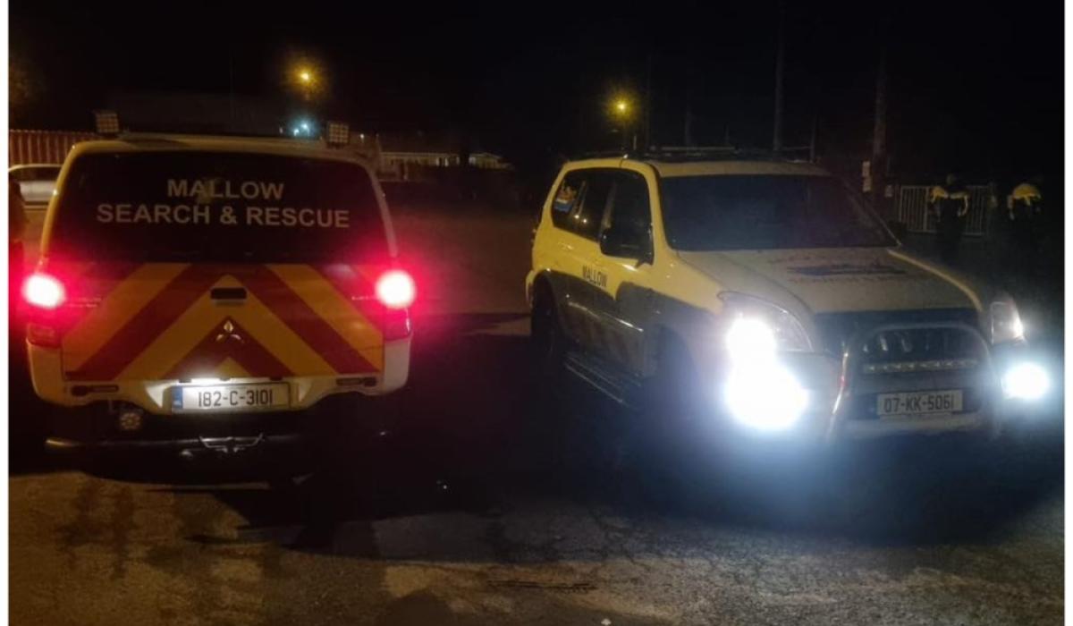 Gardaí praise hundreds of volunteers who helped successful missing person search - Laois Live