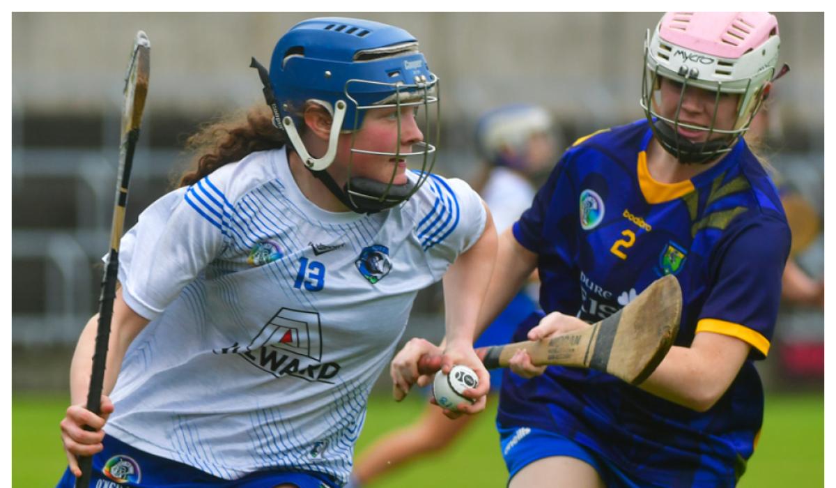 Laois Camogie team put seven goals past Wicklow to tee up Dublin date ...