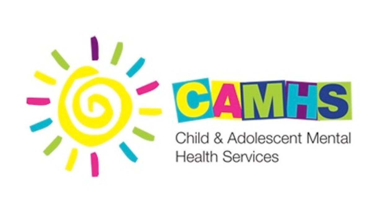 Number of Midlands' Children on CAMHS waiting list is up 20% - Laois Live