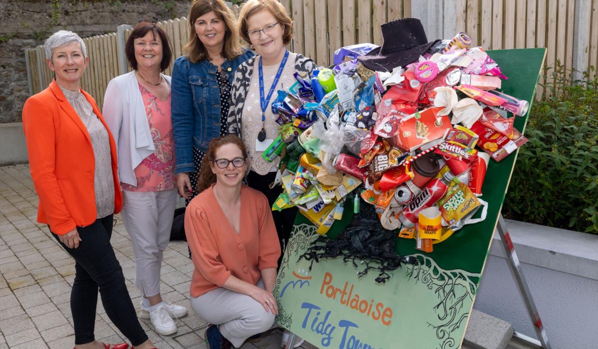 Portlaoise exhibition blends art and climate action - Laois Live