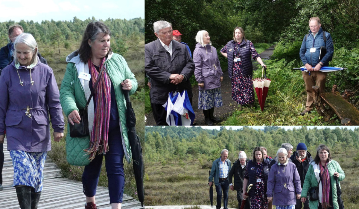 PICTURES: Abbeyleix Bog Project Impresses Judges at Pride of Place 2024 ...