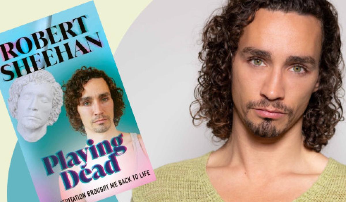 Laois actor Robert Sheehan has new book and stars in new Blindboy ...