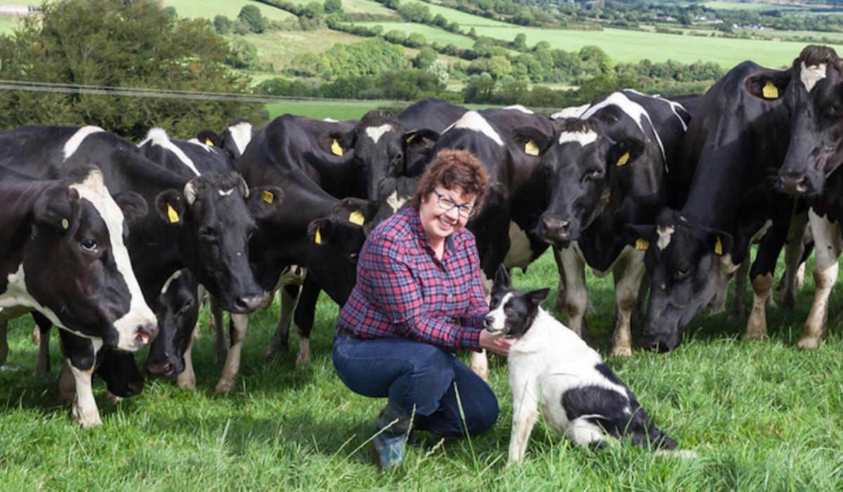Giving rural Ireland 'the Bridget Jones treatment': Laois author and ...
