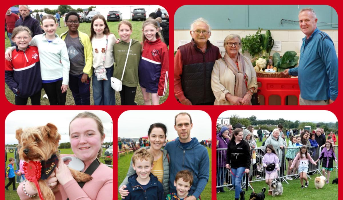 IN PICTURES: Clonaslee Show attracts thousands in Laois - Page 1 of 33 ...