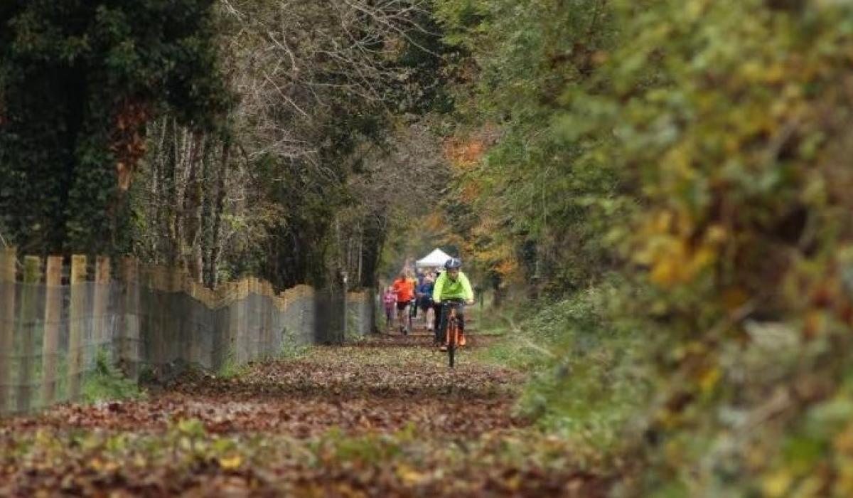 Bord na Móna lifting old bog rail tracks in Laois but 'open and ...