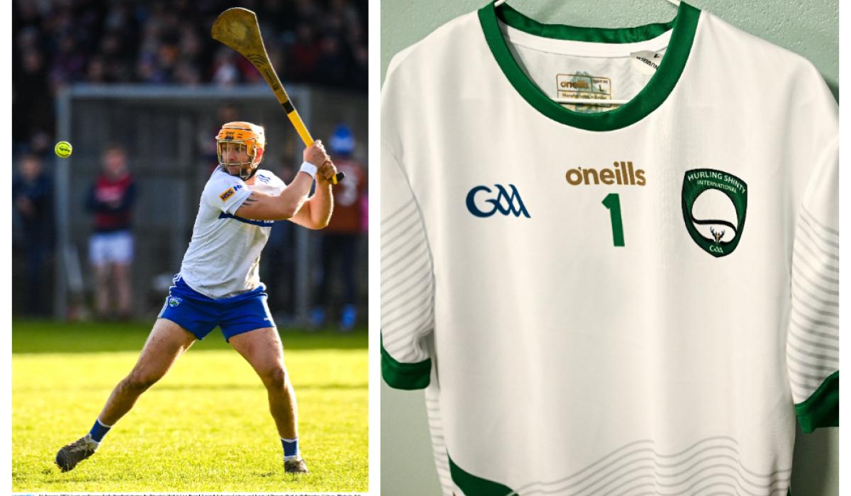 Laois GAA hurler set to captain Ireland for Hurling/ Shinty ...