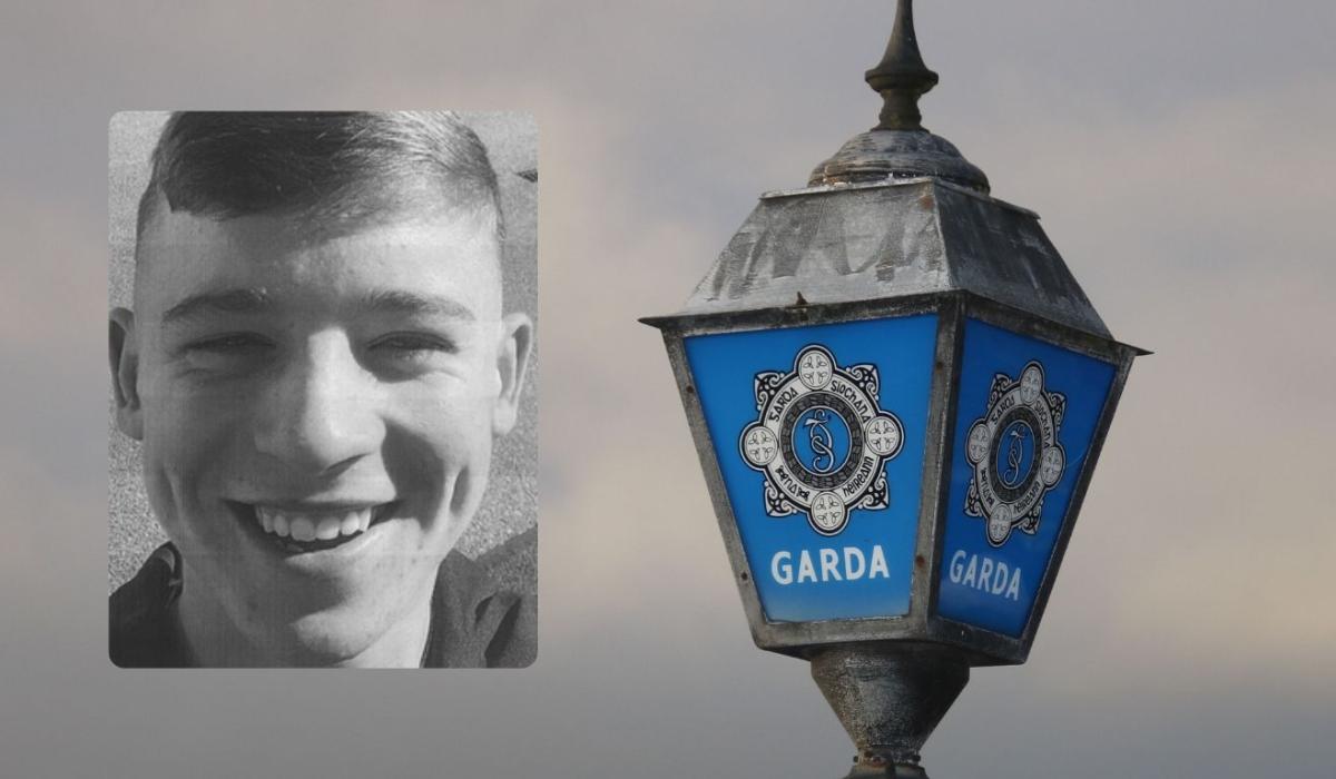 Laois Gardaí issue appeal over missing teenage boy - Laois Live
