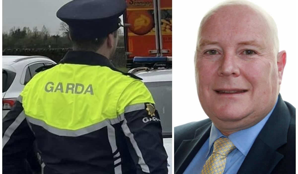 Thousands of Gardaí needed insists new Fianna Fáil General Election candidate - Laois Live