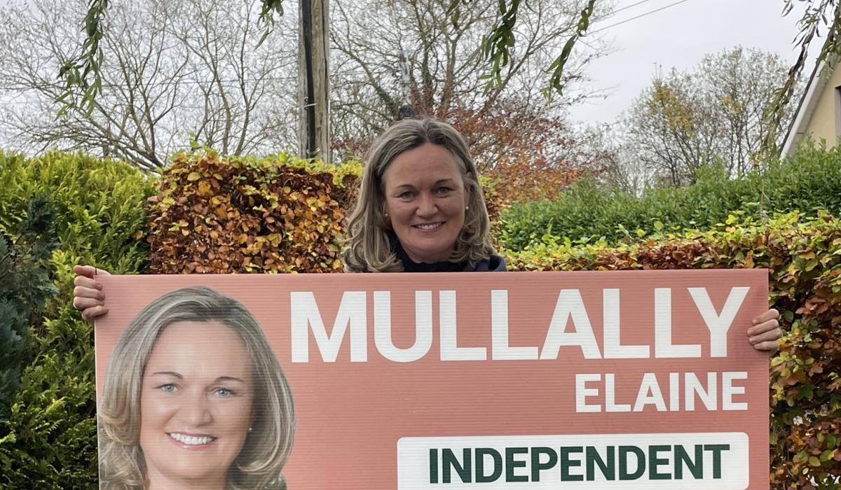 Laois election candidate slams 'unfair treatment' as campaign posters ...