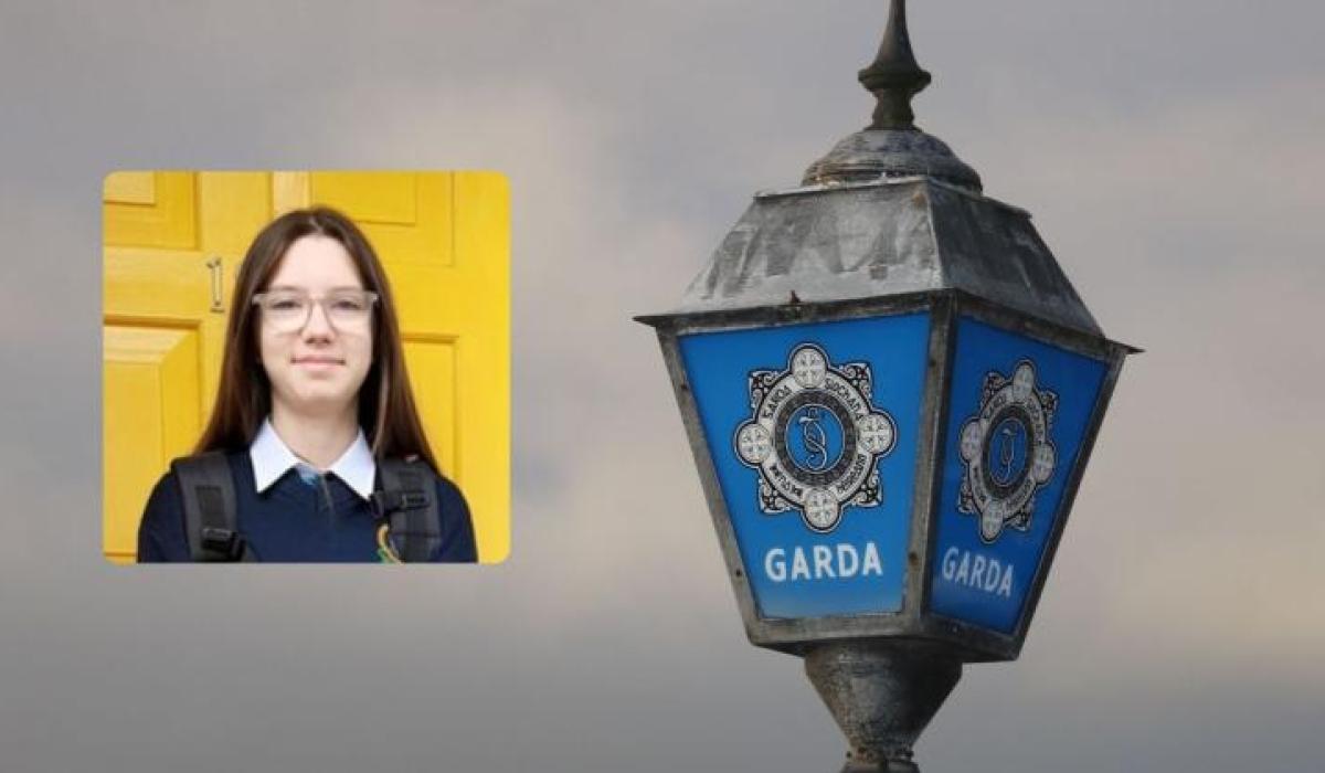 Search for teenager missing stood down as gardaí confirm they are 'safe and well' - Laois Live