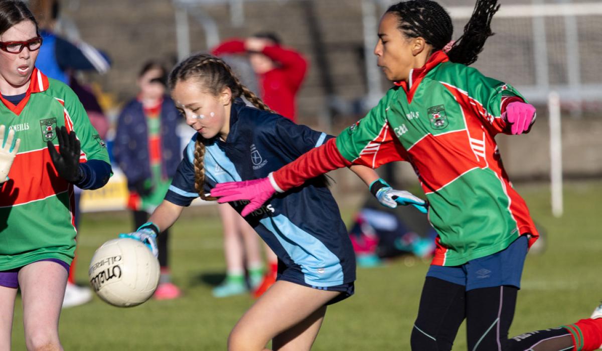 IN PICTURES: Rising Laois GAA stars shine at O'Moore Park Portlaoise ...