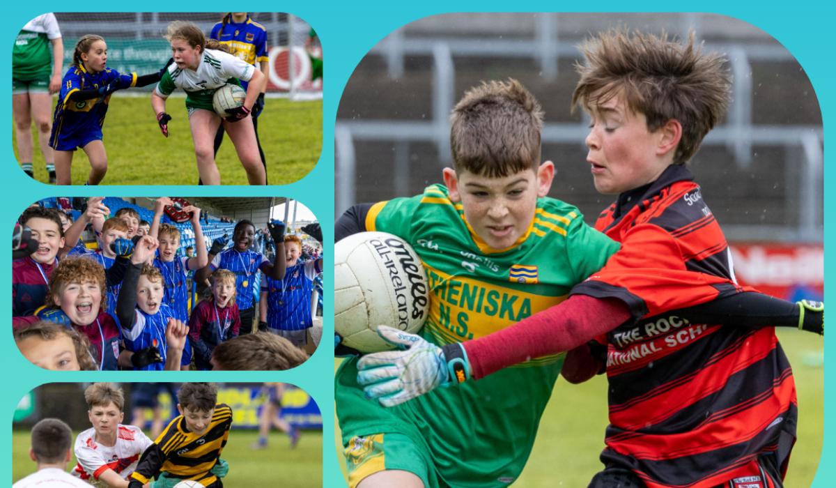 IN PICTURES: Teak tough young Laois GAA stars sparkle in wintry O'Moore ...